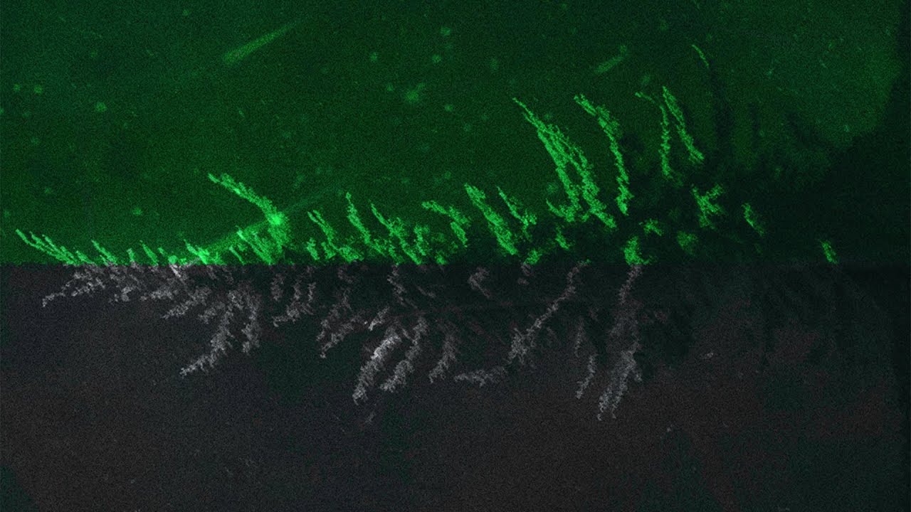 Strange Matter - 57 DEGREES [LYRIC VIDEO] - YouTube