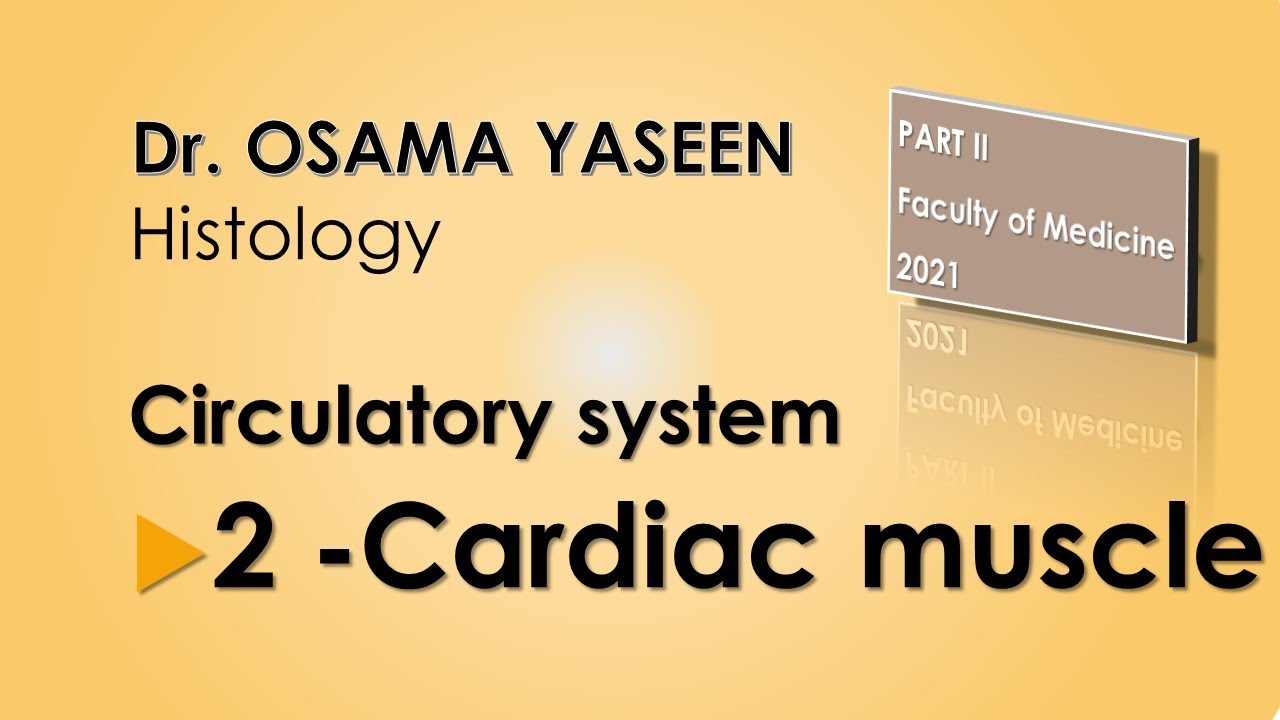 CVS 2-Heart - YouTube