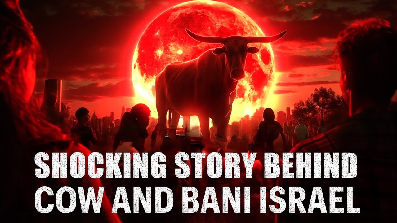 SECRETS BEHIND RED COW- YOU MUST KNOW - YouTube