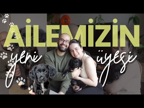 Ailemiz Büyüyor 🐶 | Yeni Üyemizle Tanışın & Köpek Sahiplenme Sürecimiz