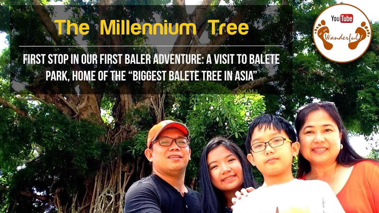 The Millennium Tree at Balete Park | Maria Aurora, Aurora | Philippines | We.Are.Wanderful - YouTube