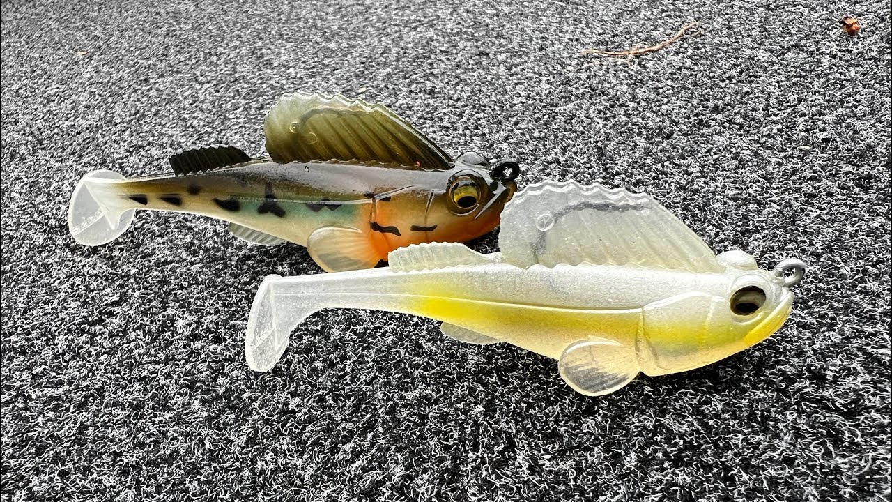 Exposing the TRUTH about this SWIMBAIT! - YouTube