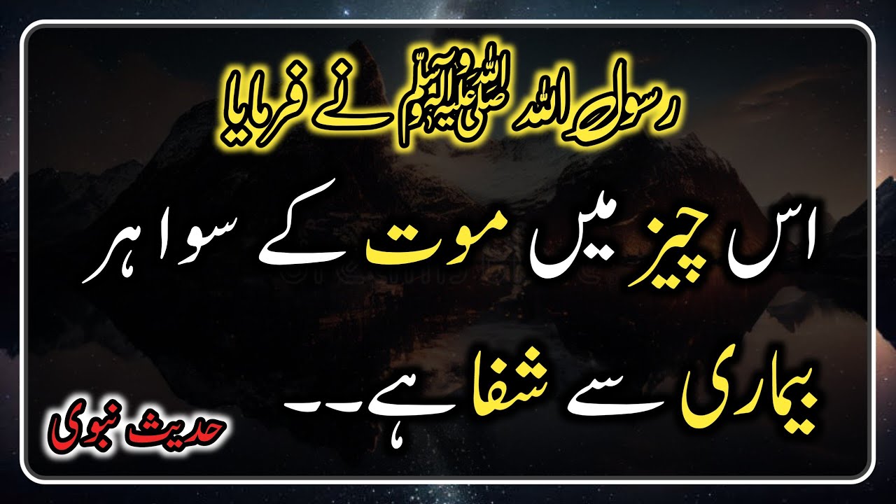 Hadees In Urdu Status For Whatsapp || 💞💞Hadees Status New Video💕💕 ...