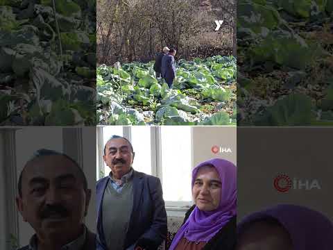 Yozgat'taki kardeşler 60 yıldır birbirinden ayrılmıyor