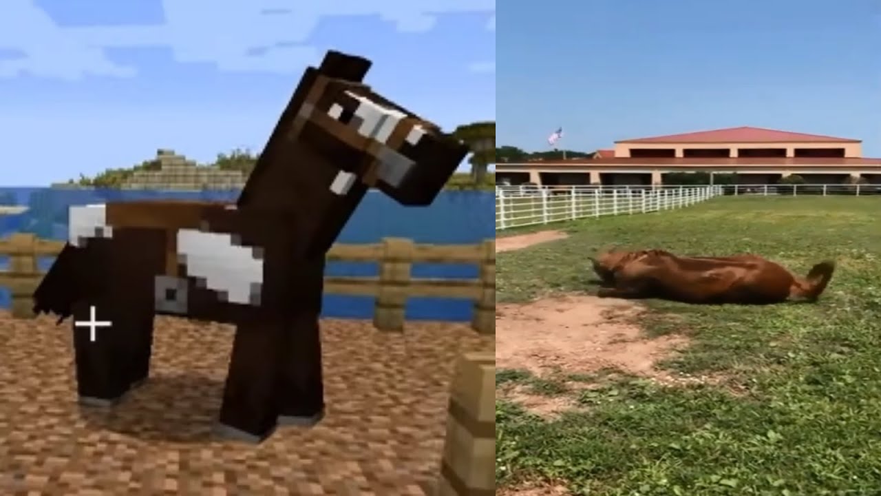 Meet Joergen - YouTube