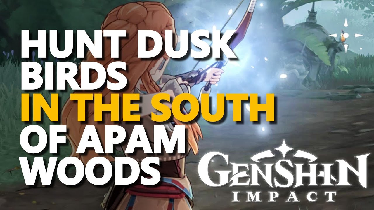 Hunt Dusk Birds in the south of Apam Woods Genshin Impact - YouTube