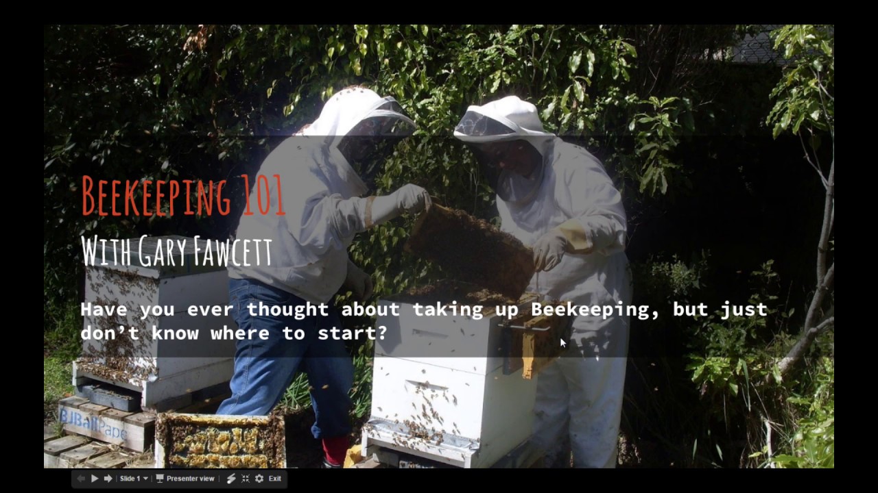 Beekeeping 101...Seven Steps to becoming a Beekeeper - YouTube