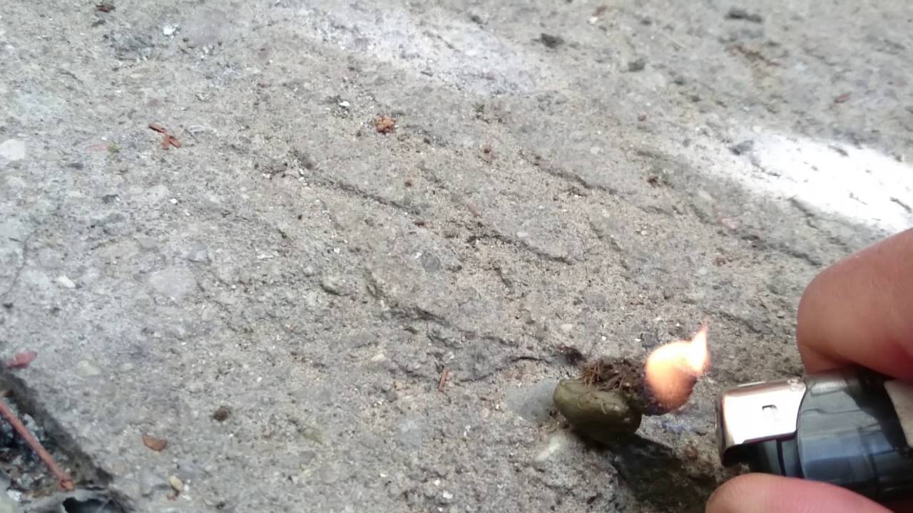 Degimas 05.23 - YouTube