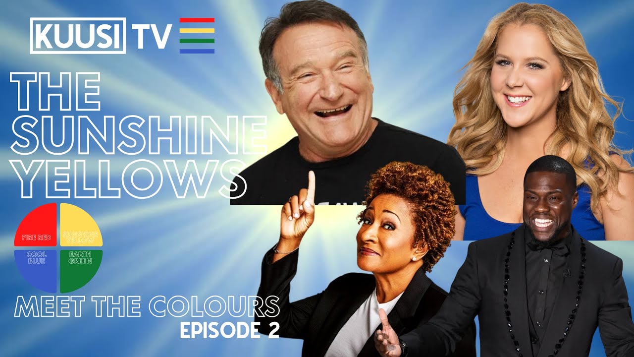 ROBIN WILLIAMS - AMY SCHUMER - WANDA SYKES - KEVIN HART - UNDERSTAND ...