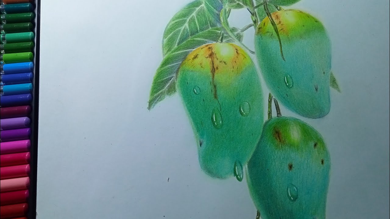 Cara Mudah Menggambar Buah Mangga | How to draw mango using colored ...