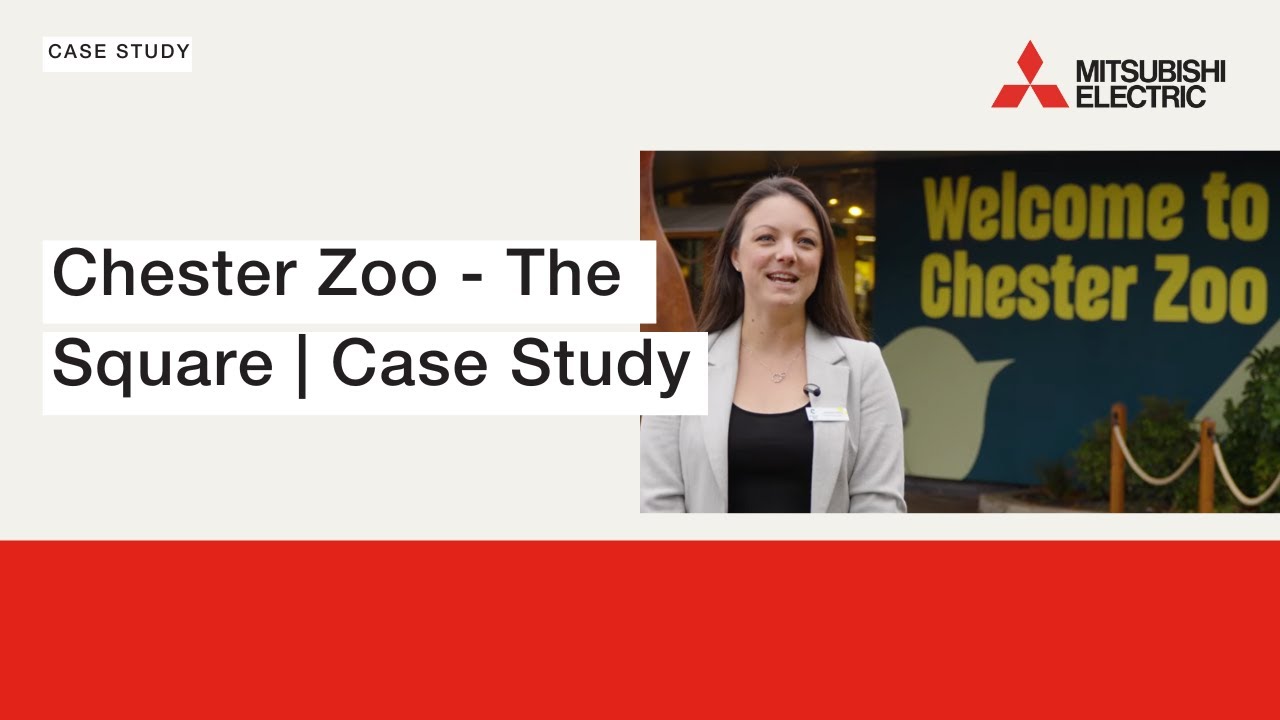 Chester Zoo - The Square | Mitsubishi Electric - YouTube