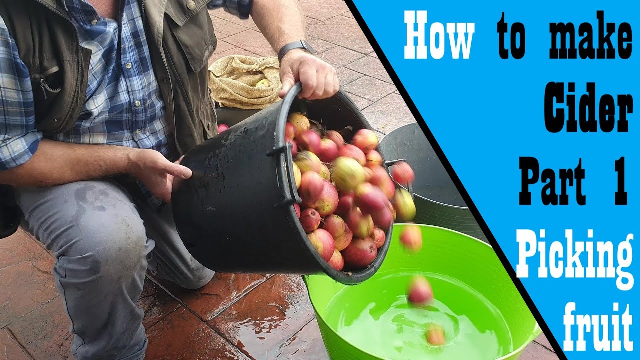 How to make Cider Part 1 Harvesting - YouTube