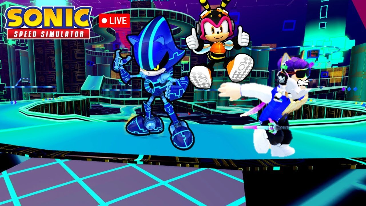 CHARMY THE BEE AND CIRCUIT METAL SONIC ARRIVES TO SONIC SPEED SIMULATOR ...