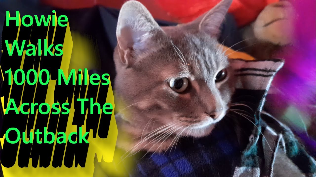 Howie Walks 1000 Miles Across The Outback - YouTube