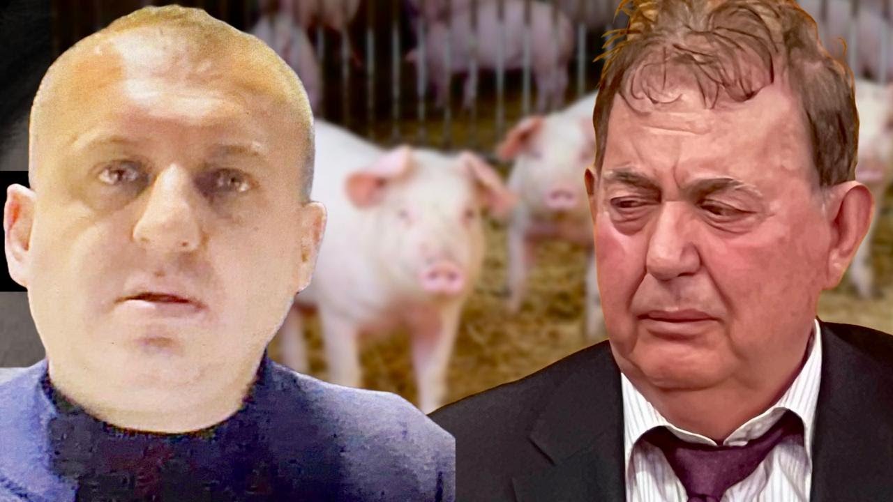 Kujdes kur blini mishin! Si erdhi murtaja afrikane në Shqipëri, nga ...