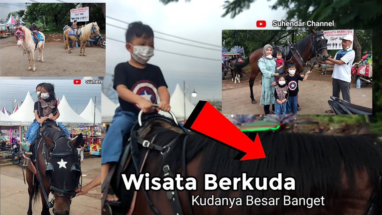 Naik Kuda | Wisata Berkuda Mutiara Gading Timur | Asyiknya Naik Kuda ...