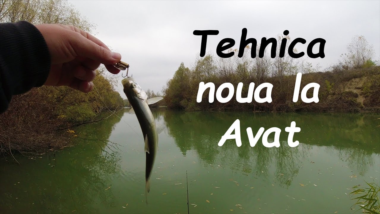 O noua tehnica de pescuit - AVATUL nu-i rezista! - YouTube