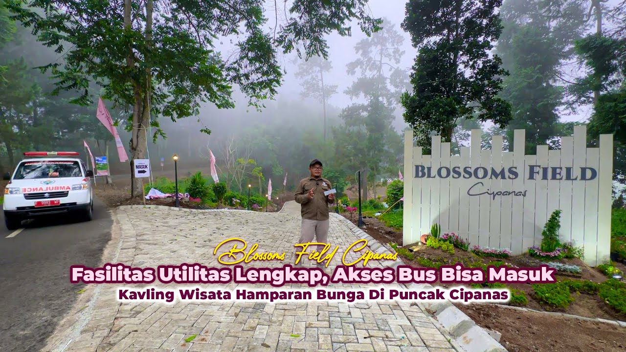 Kavling Wisata Hamparan Bunga Puncak Cipanas Akses Masuk Bus - YouTube