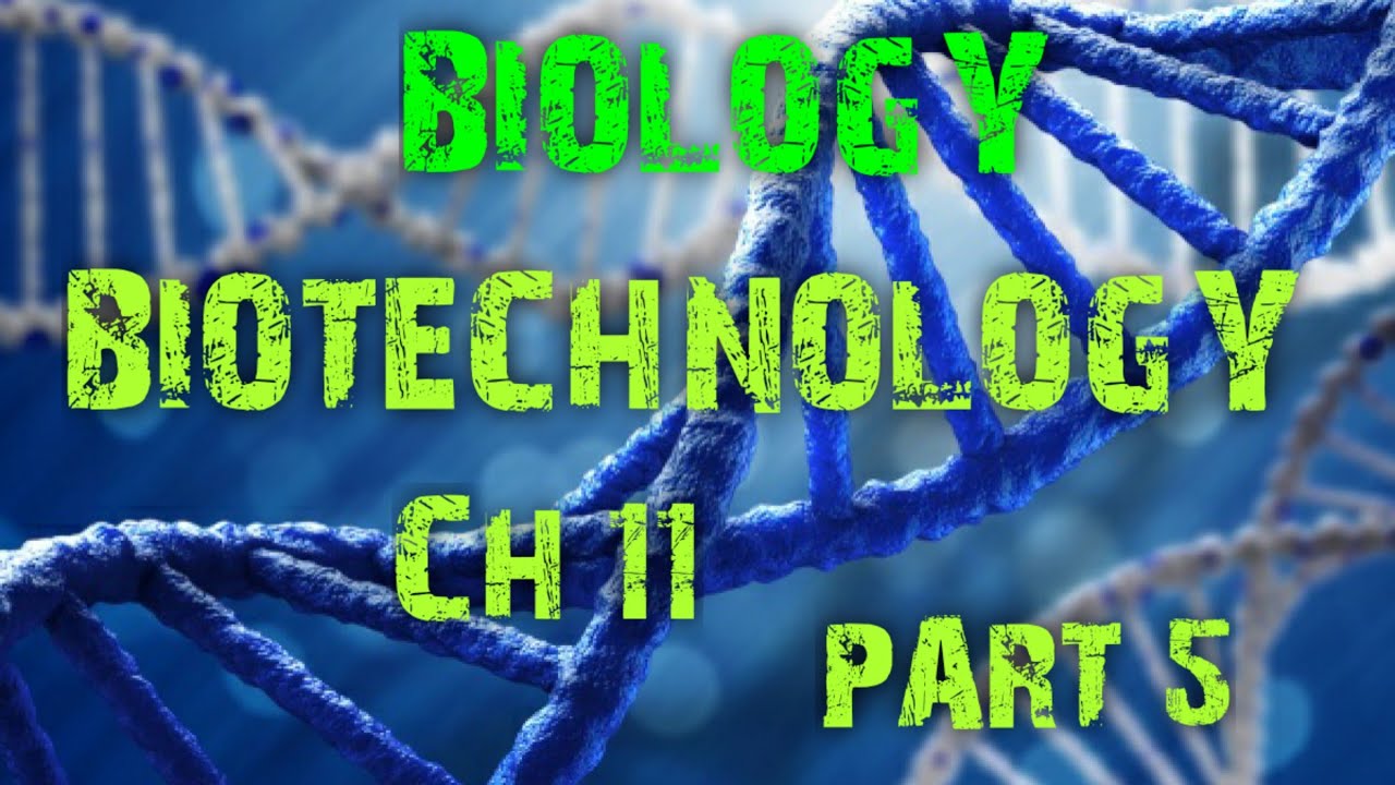 BIOLOGY Class 12 Ch 11 Biotechnology : principles and processes Part 5 ...