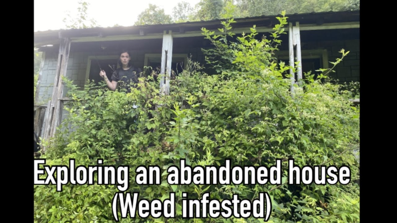 Exploring an isolated, infested house - YouTube