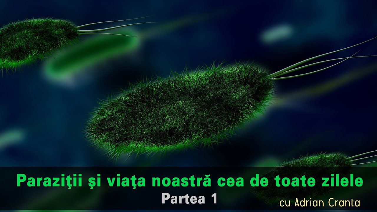 Parazitii si viata noastra cea de toate zilele - partea 1 - YouTube
