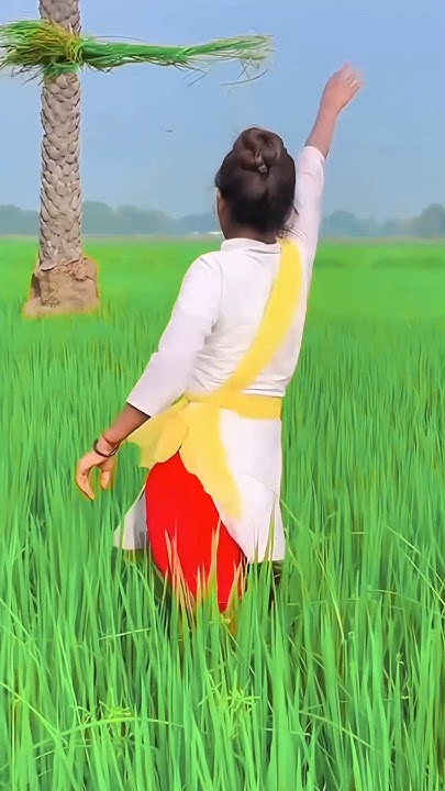 Pfunny dhaan ki khet mein kam karte hue 👌 Teri najron ka Teer mujhper na mara karo #shorts - YouTube