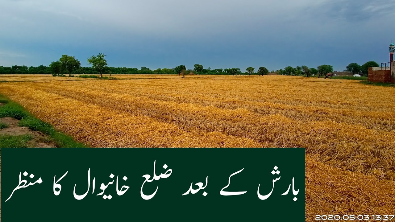 Tehsil Kabirwala District Khanewal is Looking more Beautiful after Rain ...
