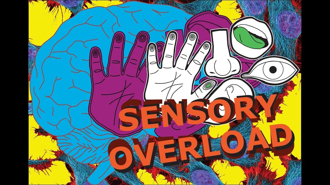 What Is Sensory Overload YouTube what-is-sensory-overload-youtube