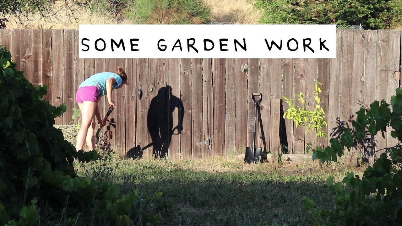 some garden work | Jenny Fern | VEDIA Day 20 - YouTube