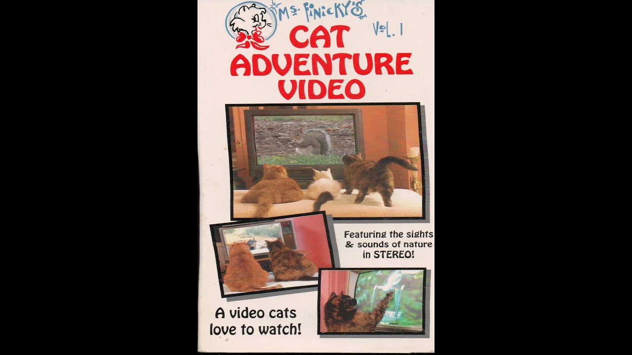 Cat Adventure Video VHS - YouTube
