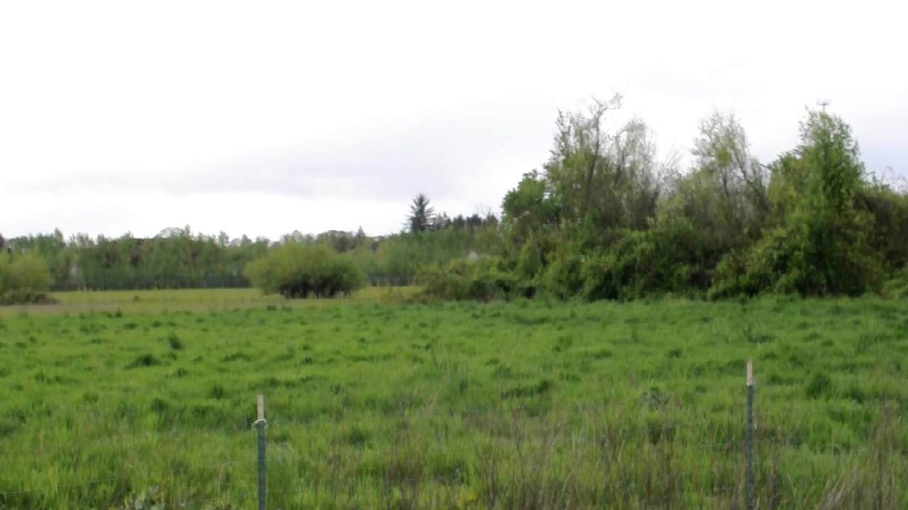 Marr Brothers Bark Dust Machinery Noise May 3, 2010 at 8:12 a.m. - YouTube