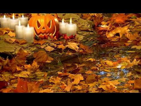 Autumn Ambience (a Zen Den Short)  Enjoy the Relaxing Sounds of Nature in Autumn