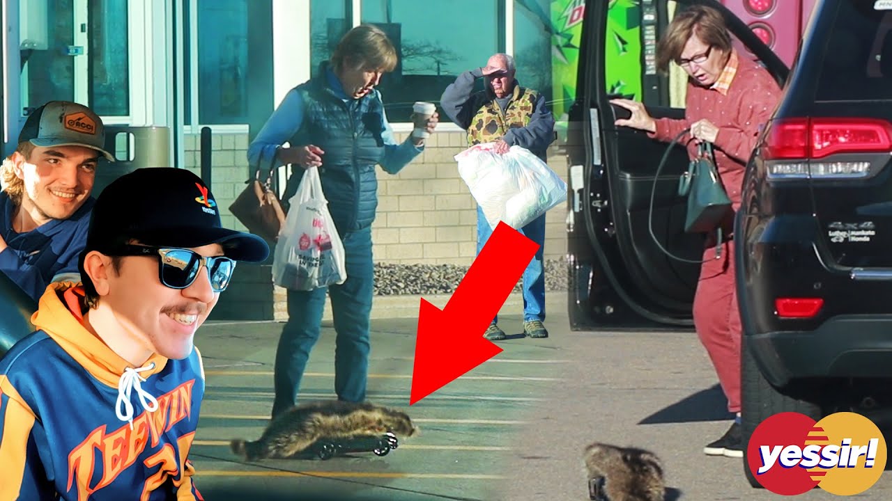 Remote Control Raccoon Prank! (FREAKING PEOPLE OUT!) - YouTube