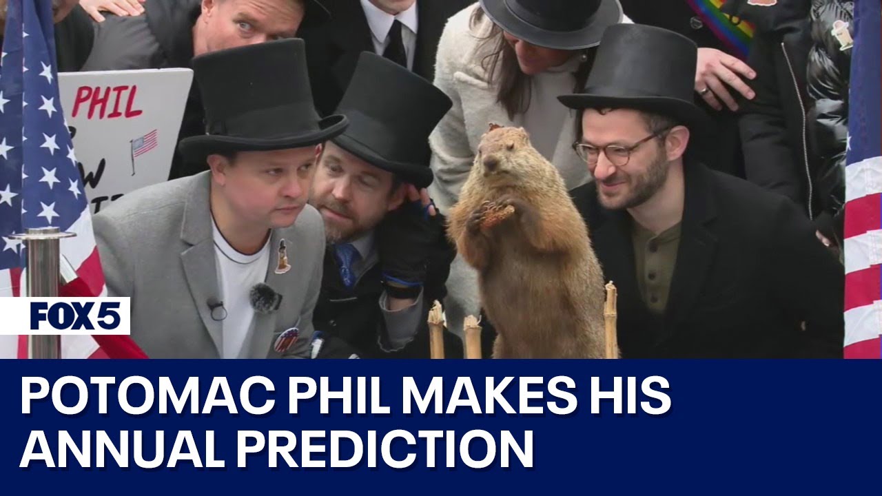Potomac Phil predicts early spring, political gridlock - YouTube