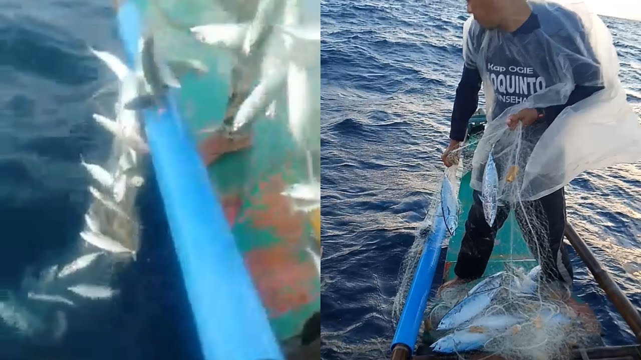FISHING COMPILATION (BIYAYA NG DAGAT) - YouTube