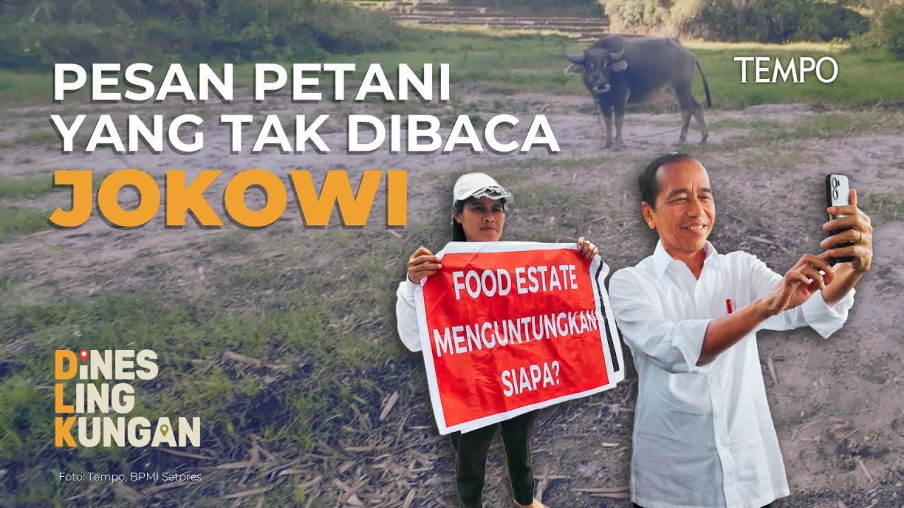Menengok Dampak Proyek Food Estate di Humbang Hasundutan, Sumatera ...