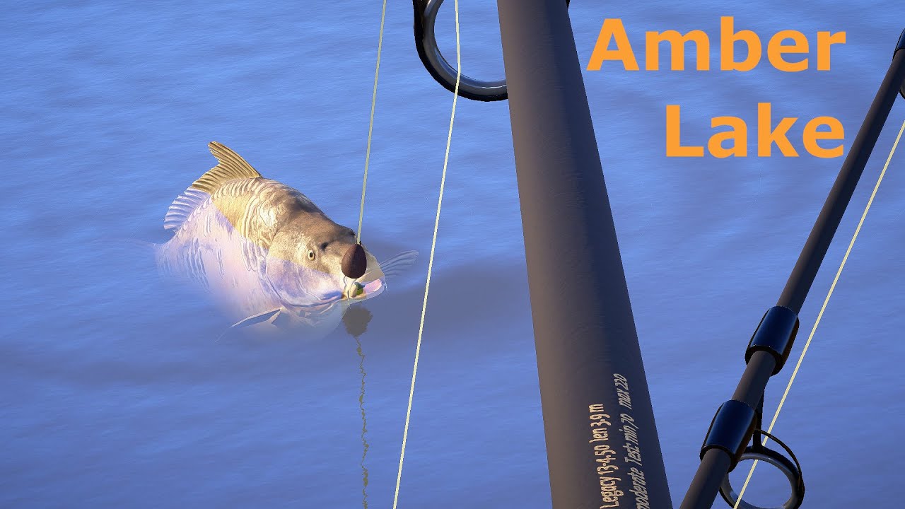 Russian Fishing 4 | BIG CARP SPOT Trophy Mirror Carp Amber Lake | rf4 ...