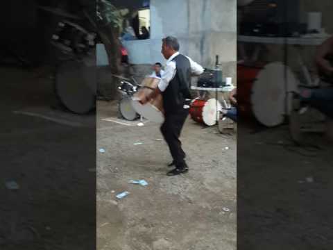 Havar gule  vuşke