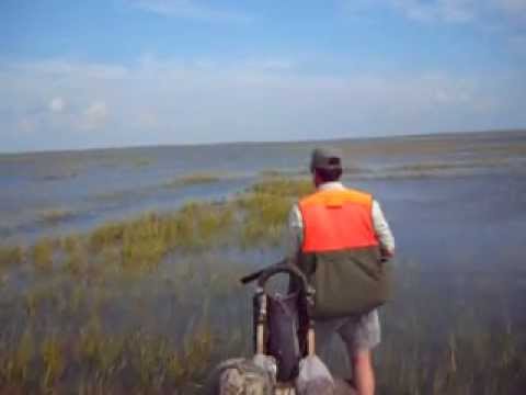 Hunting the marsh hen along the Atlantic Coast - Joe Guide Outfitters ...