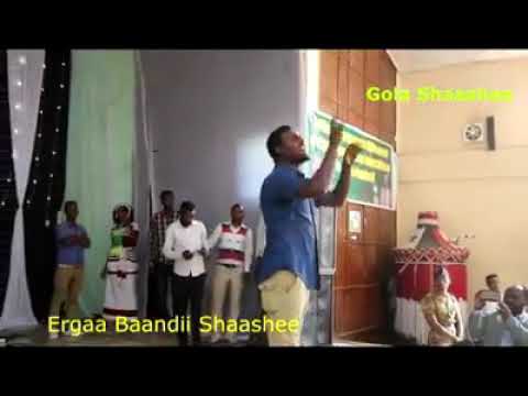 Simannaa art, Umar suleeyman Shaashee band - YouTube