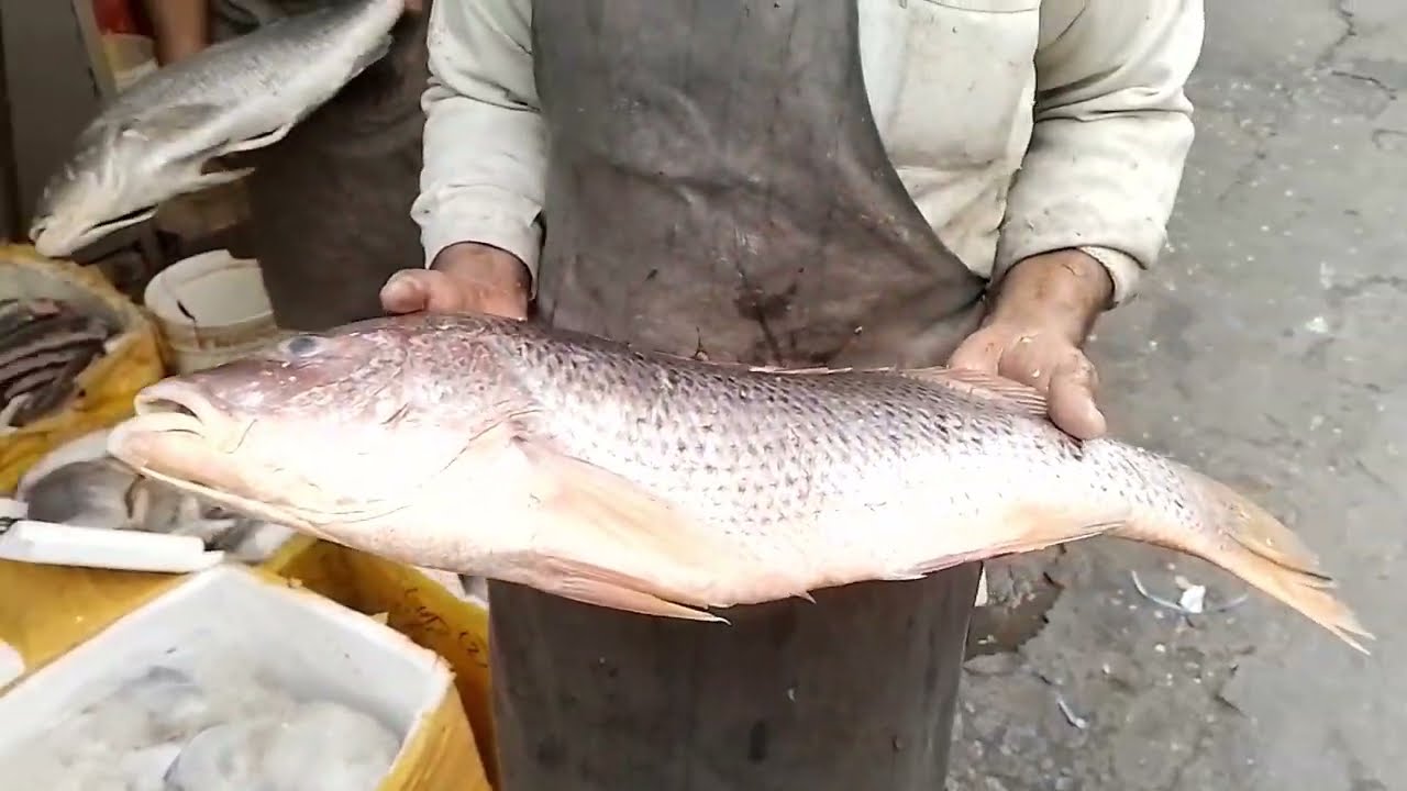 Masala Fish Fry | Amazing Fish Cutting Skills | Lahore Rahu Fried Fish ...