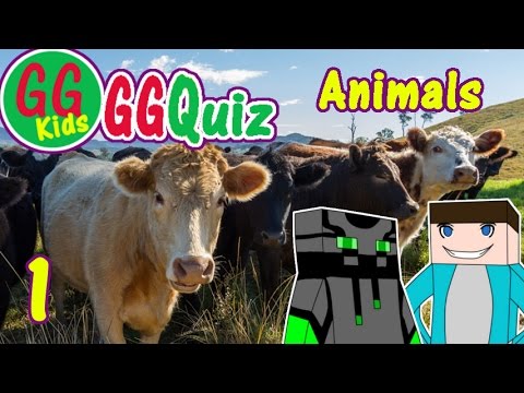 GGKids GG Quiz - Funny Animals (1) - YouTube