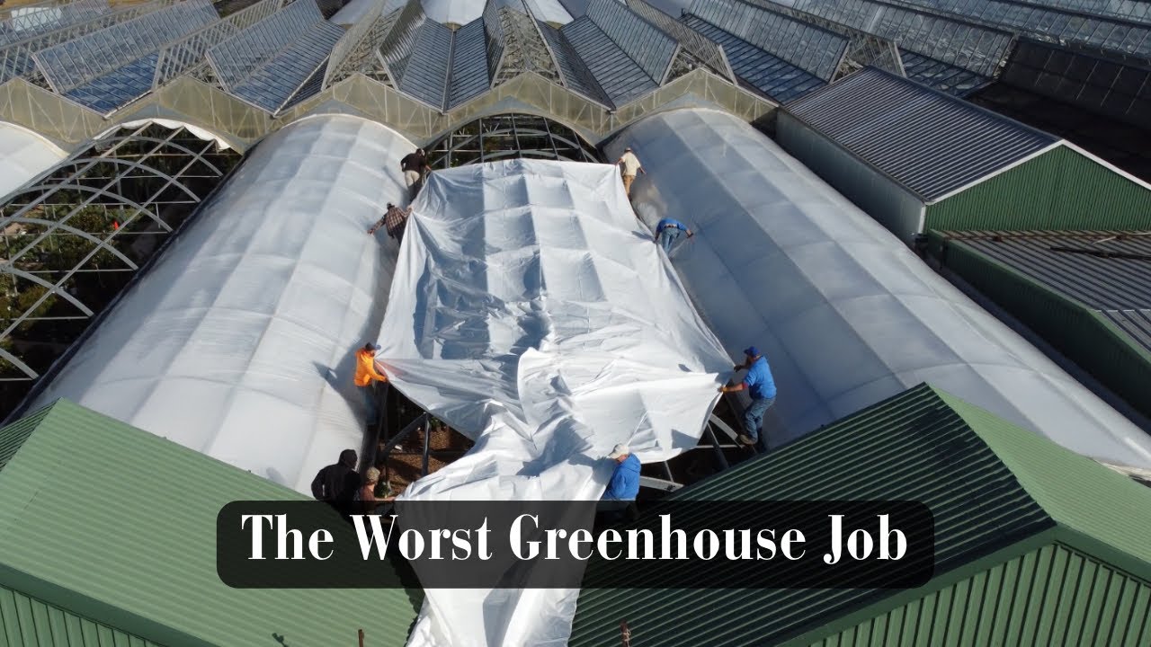 The Worst Greenhouse Job - YouTube