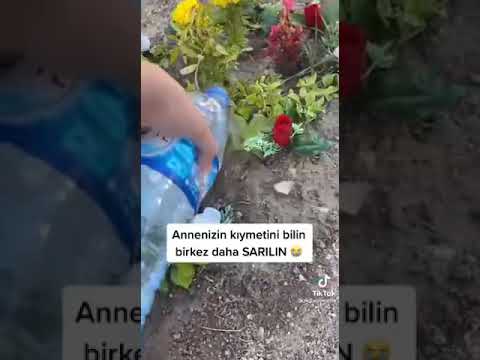 Toprak aldığını geri vermiyor ibret olsun kıymet bilin 😔😔😔