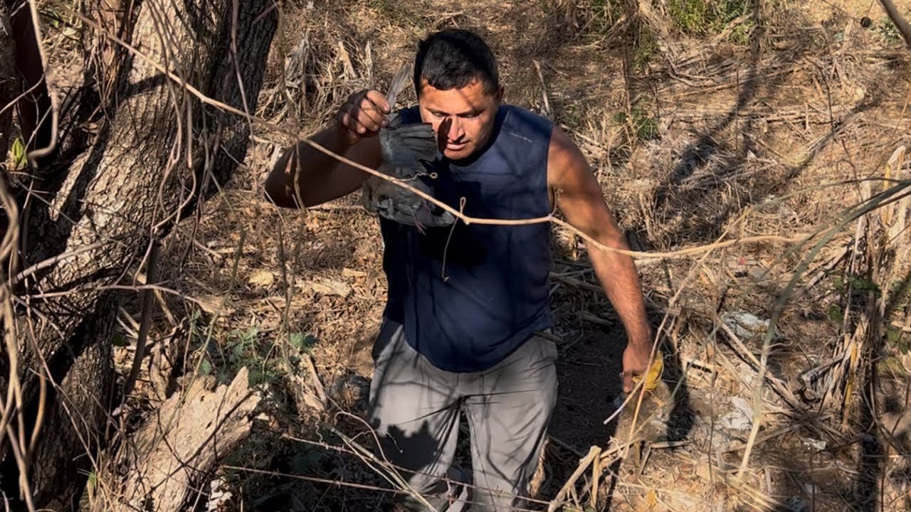 Cazando palomas con ondilla en El Salvador 🇸🇻 - YouTube