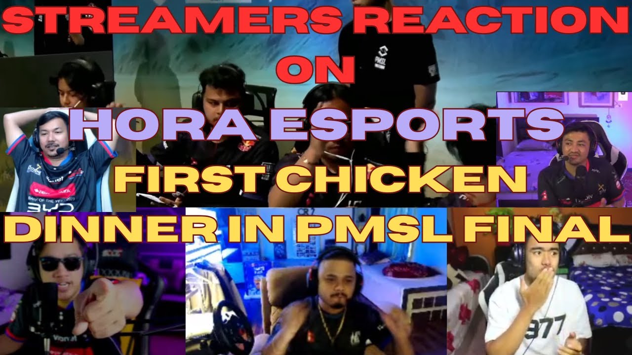 Streamers Reaction on Hora Esports First Chicken Dinner In PMSL Final ...