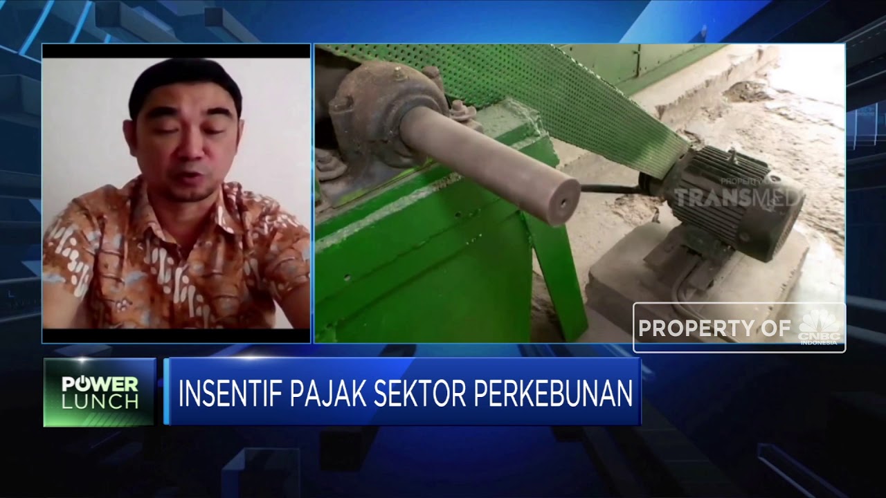 Askindo: Penurunan PPn jadi 2% Tak Berdampak Besar bagi Industri Kakao ...