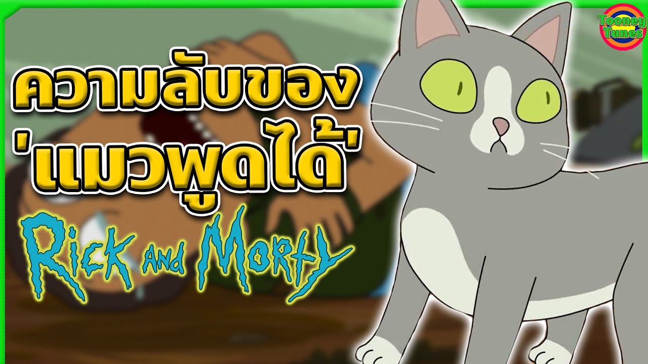 เจาะลึกความลับของ Talking Cat แมวพูดได้สุดสยองแบบละเอียด | Tooney Tunes ...