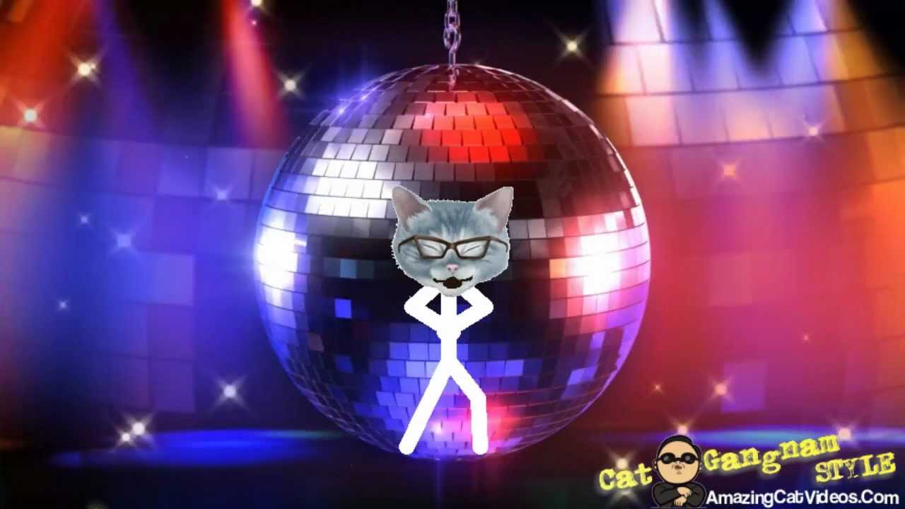 PSY Gangnam Cat Style | Cat Sing & Dance Gangnam Style [Must Watch] (강남 ...