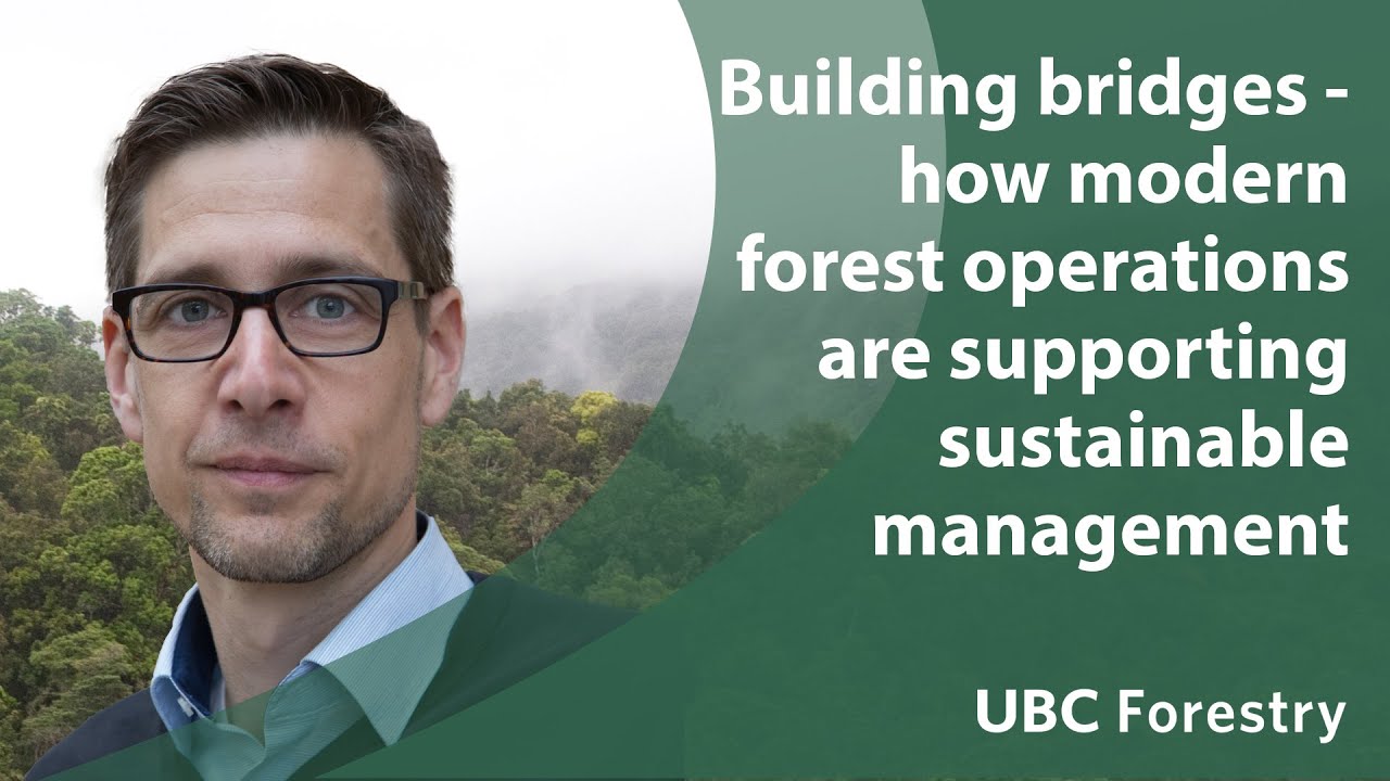 Building Bridges - How Modern Forest Operations are Supporting ...
